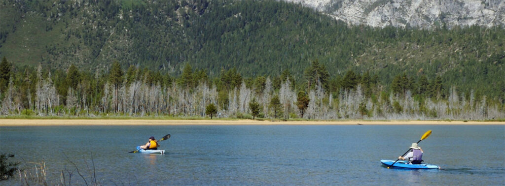 Wind Point Partners Announces Two Acquisitions - NAIC